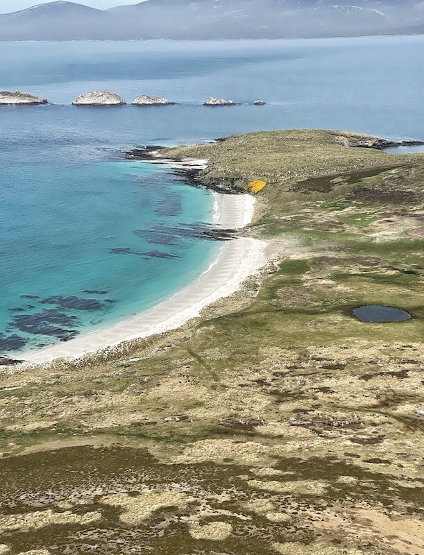 19 Most Interesting Facts About The Falkland Islands