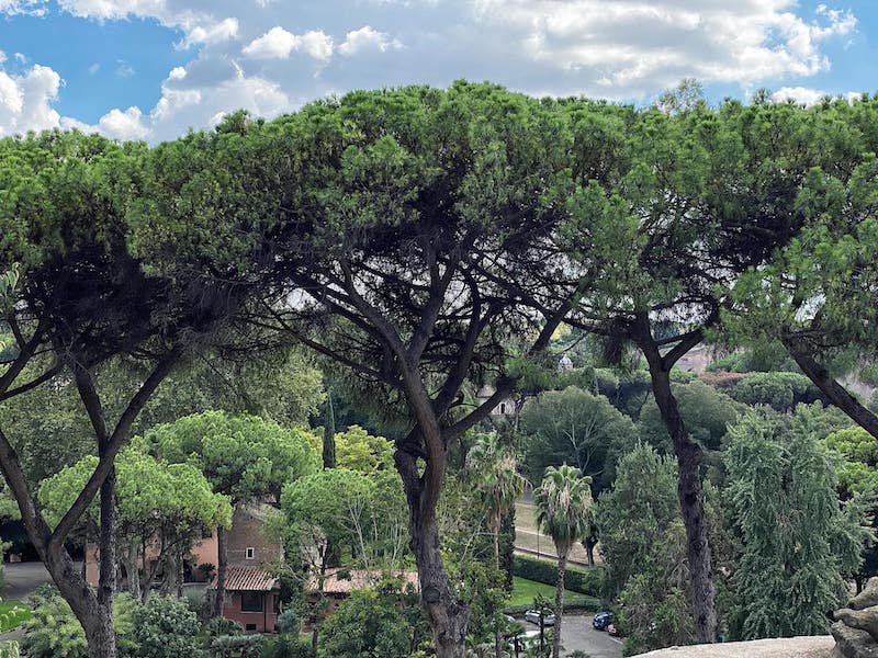 A Guide To The Caelian Hill, Rome: 11 Best Places To Visit
