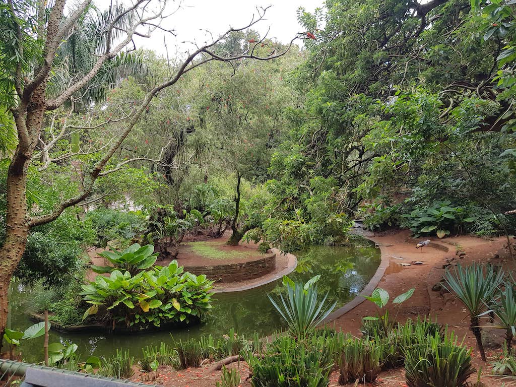 20 Best Things To Do In Durban