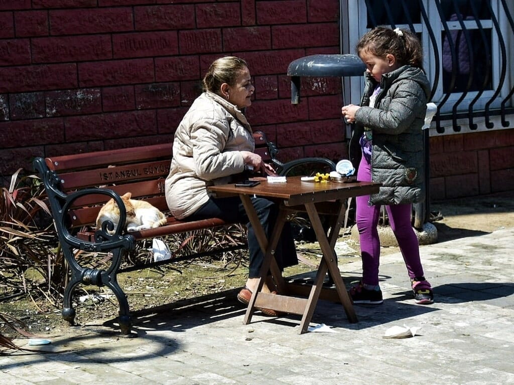 Istanbul Cats: 7 Best Things To Know About Cats In Turkey