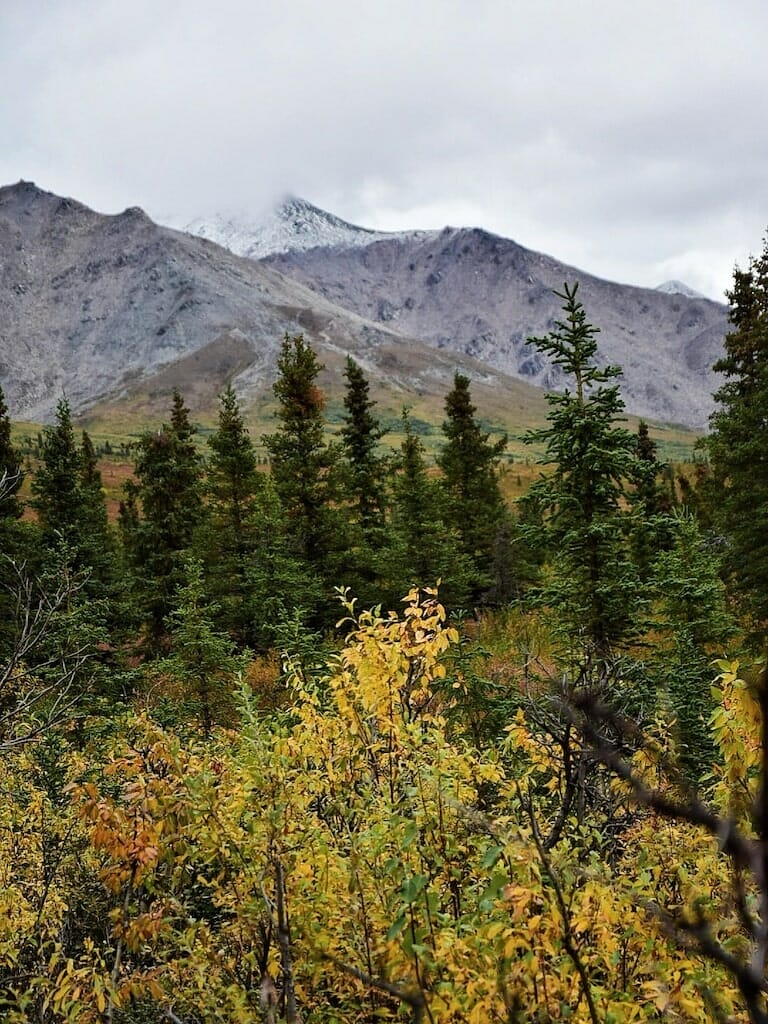 15 Best Hikes In Alaska + Top Tips For Hiking In Alaska