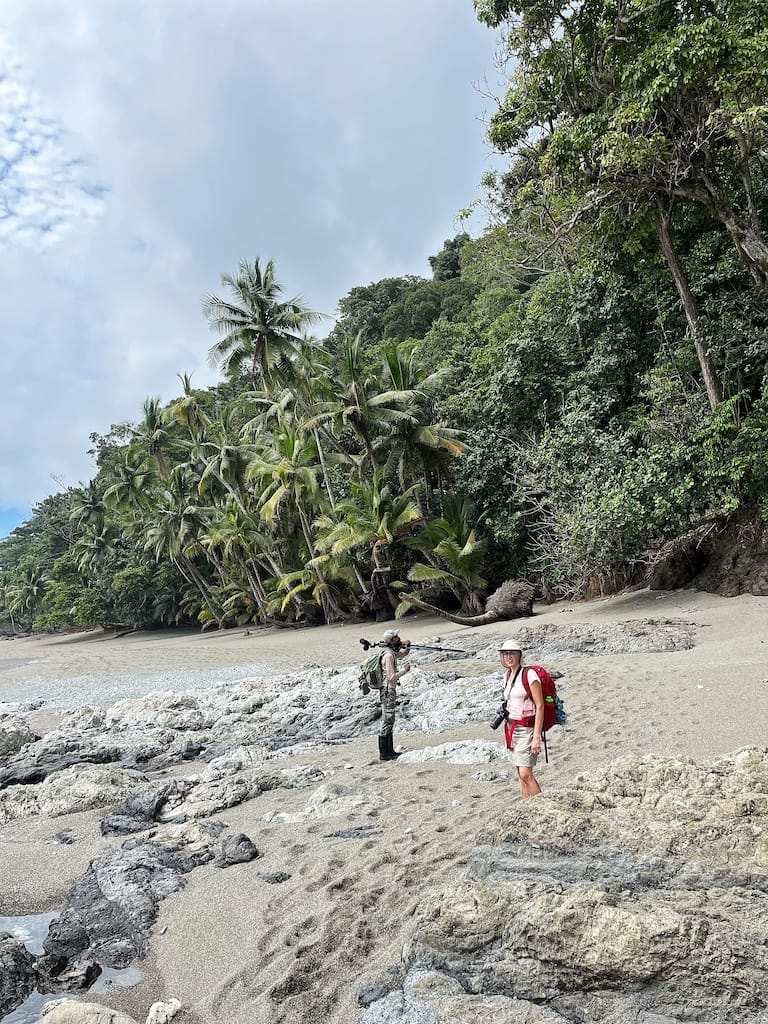 10 Best Things To Do In Puerto Jimenez Costa Rica