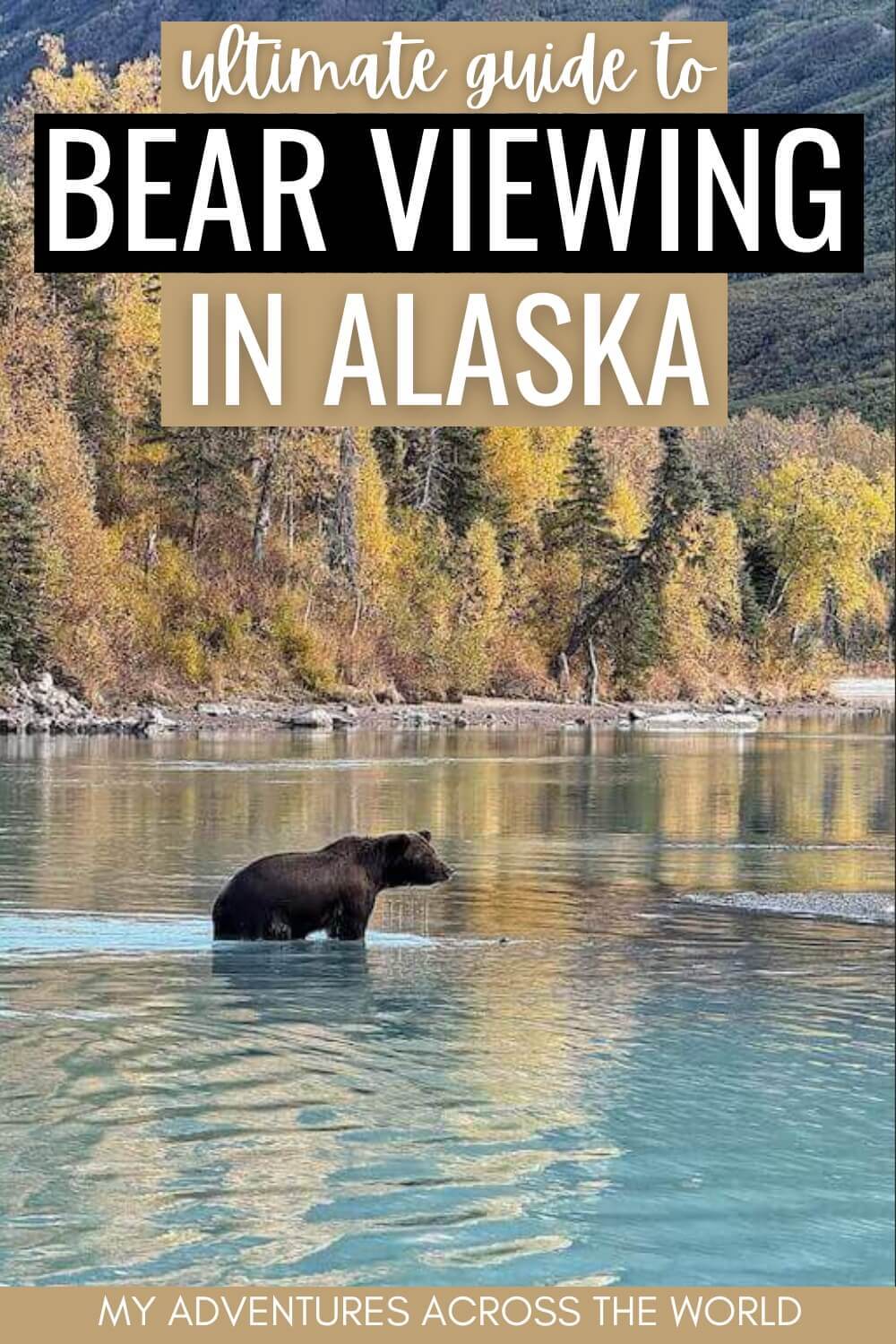 A Guide To Bear Viewing In Alaska: Best Places To Go + Tips