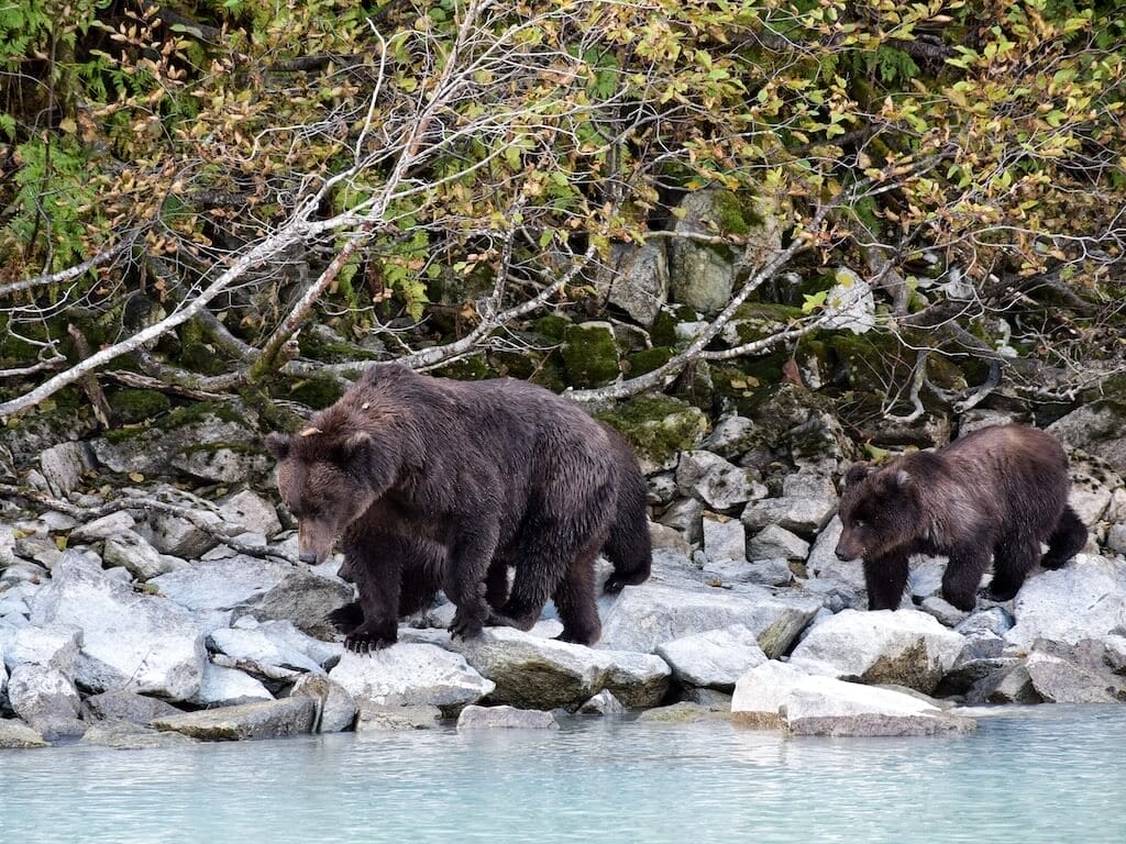 How To Visit Lake Clark National Park In Alaska + Best Tips